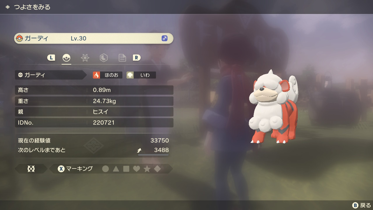 4d05538c A478 47ac 99b0 7e2c4151a4e5 ポケブロス